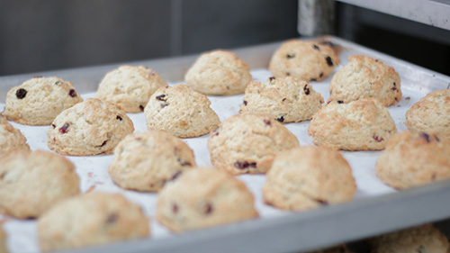 Thank You – Free Sample - Fine Sconehenge Baking Co.